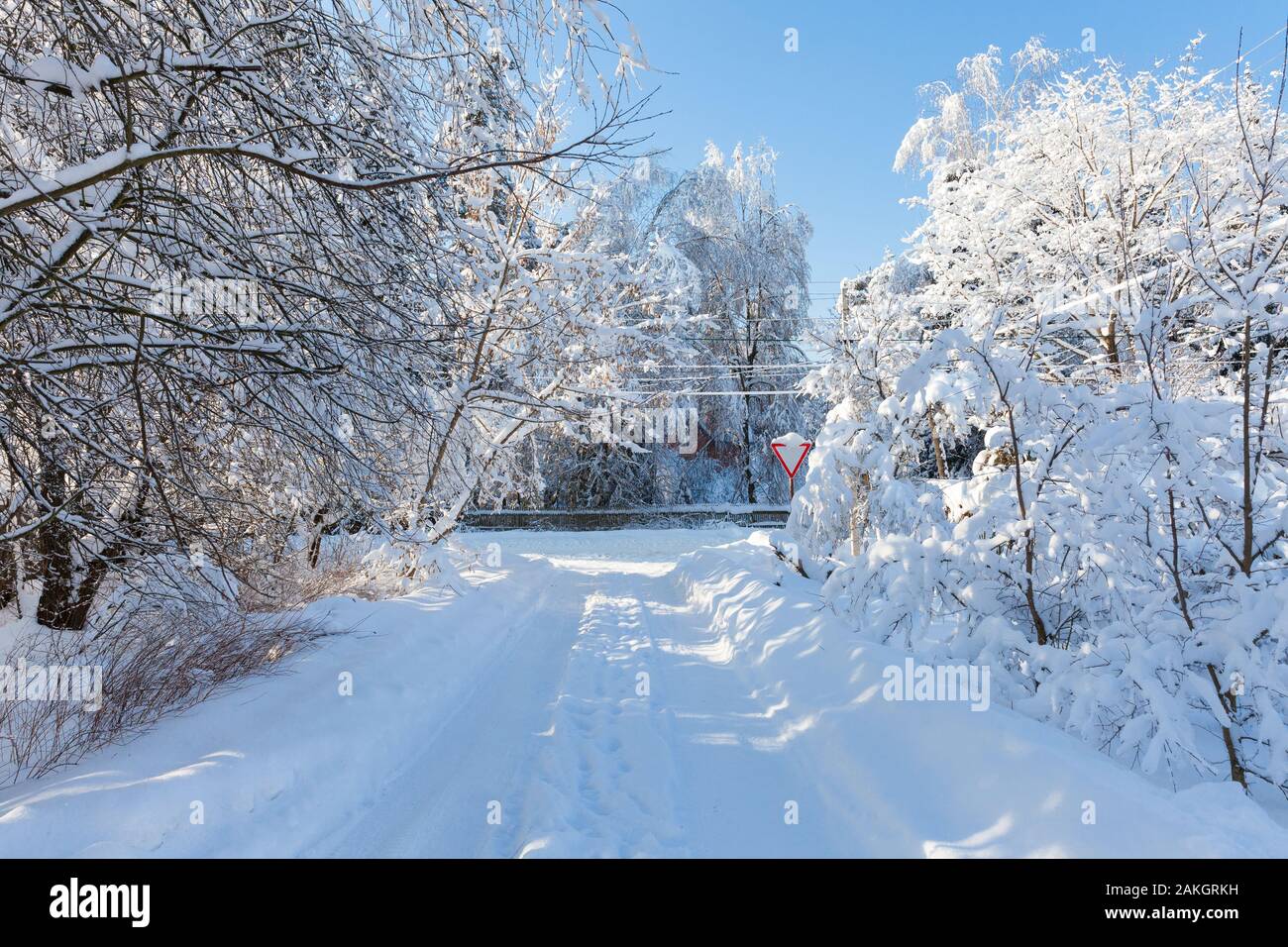Beautiful winter landscape after a heavy snowfall at Moscow Oblast ...