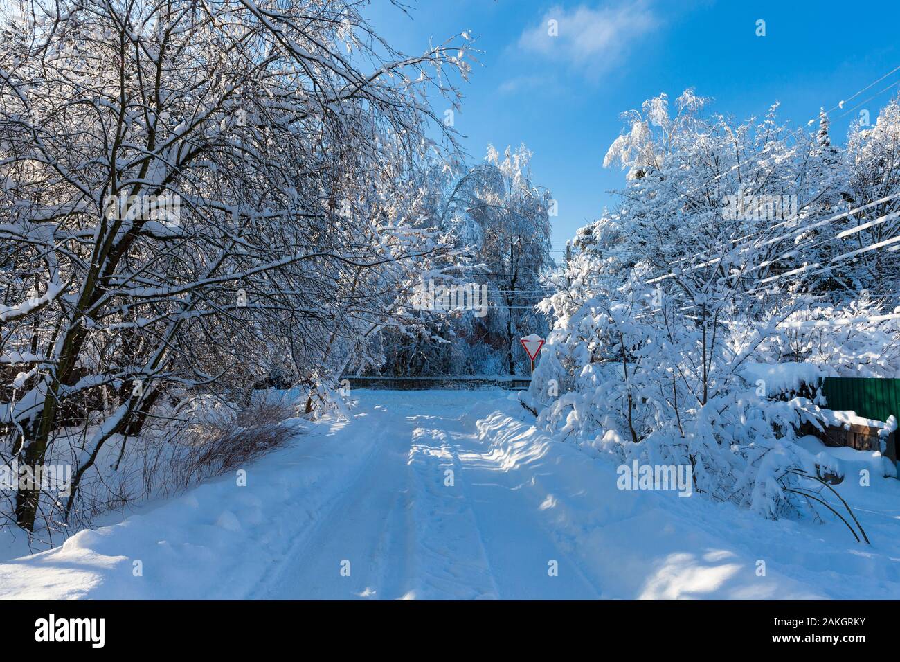 Snowfall moscow hi-res stock photography and images - Alamy