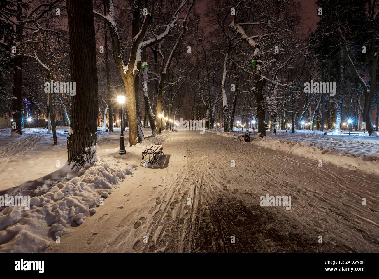 Winter park at night with decorations, lights, benches and trees. Snow ...