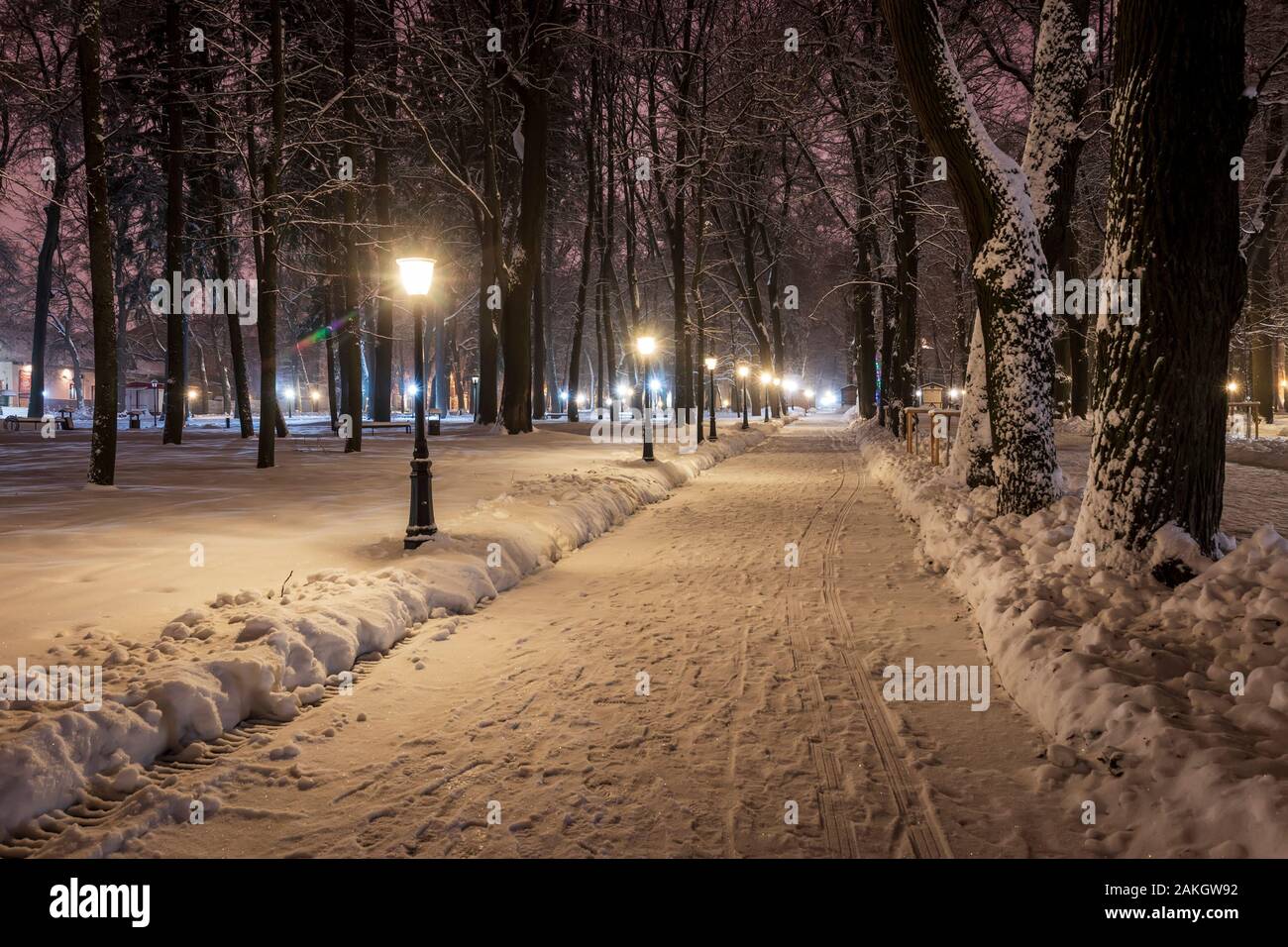 Winter park at night with decorations, lights, benches and trees. Snow ...