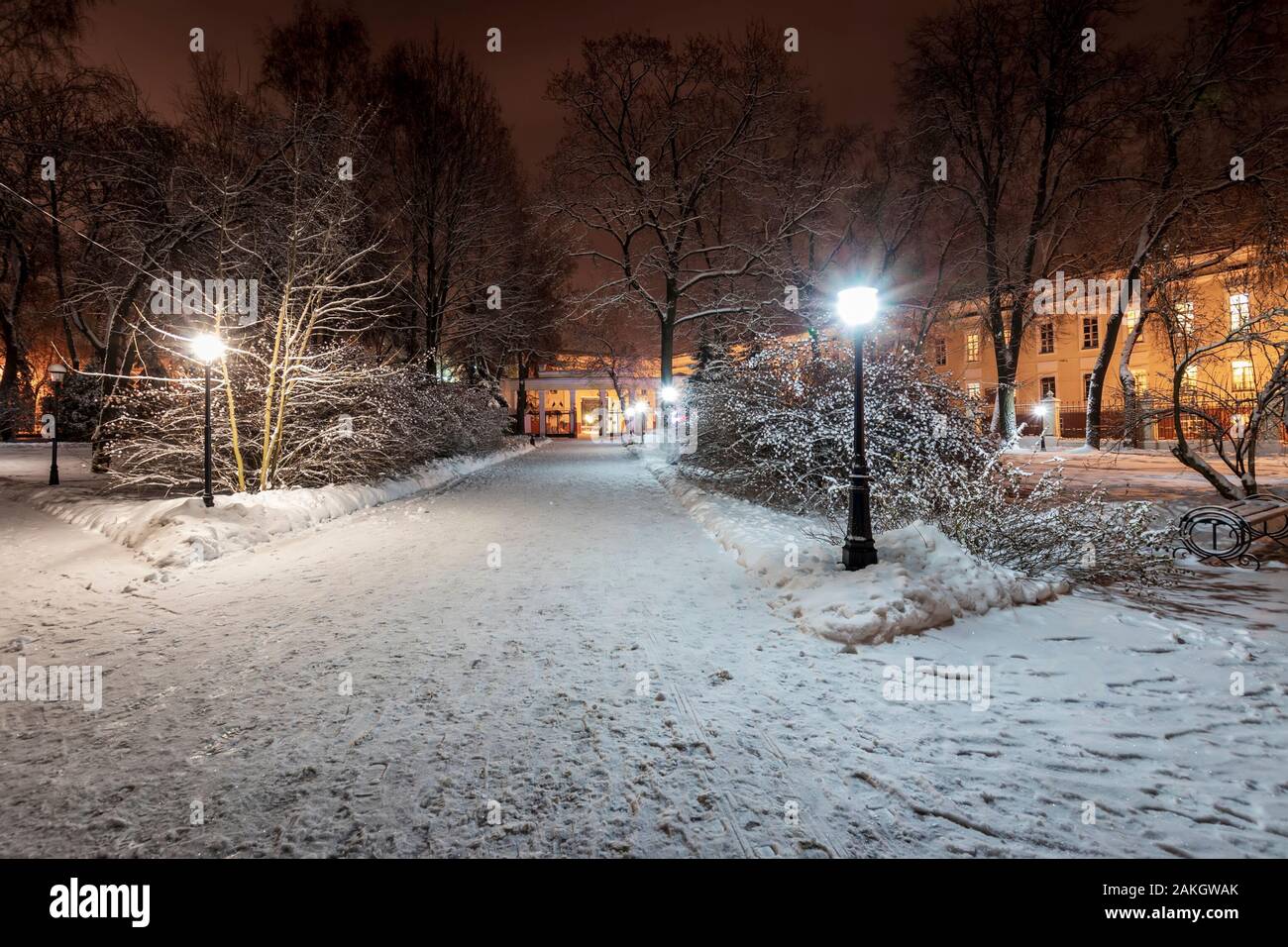Winter park at night with decorations, lights, benches and trees. Snow ...