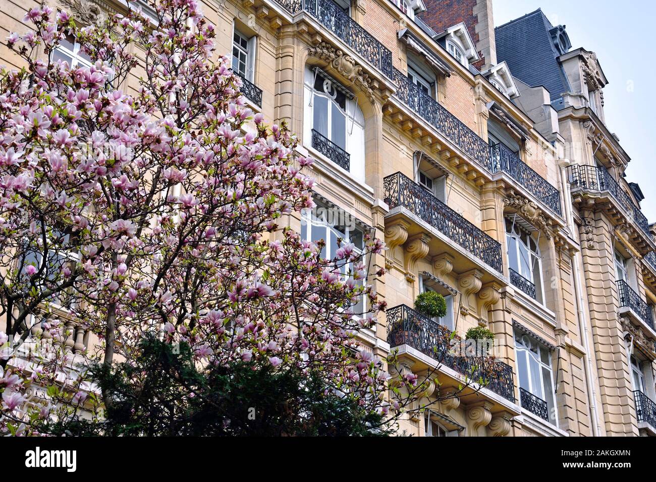 Haussmannian High Resolution Stock Photography and Images - Alamy