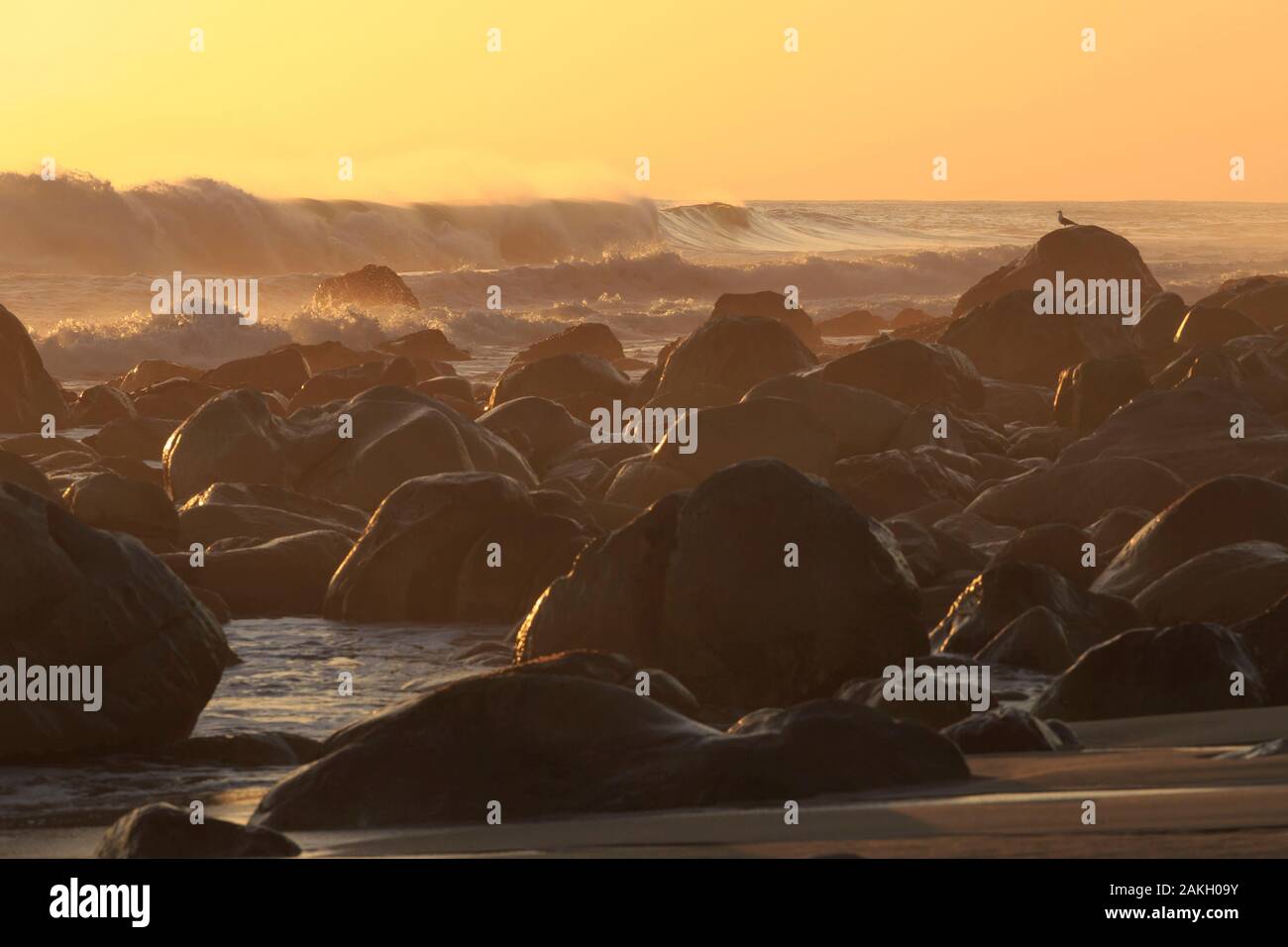 South Africa, Western Cape, Sunset on the Rocks of a Cape Point ...