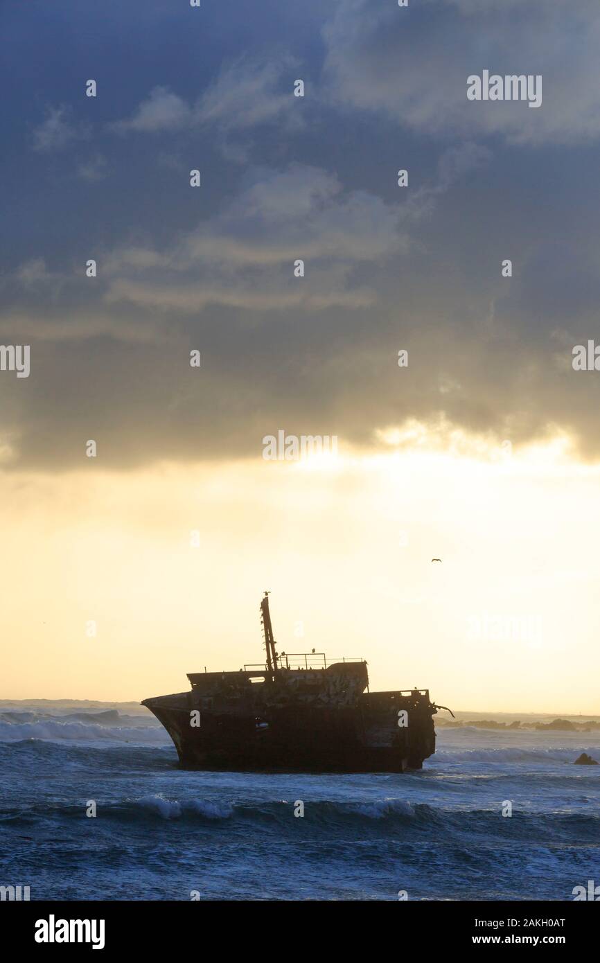 South Africa, Western Cape, sunken wreck at sunset on the rocky coast ...