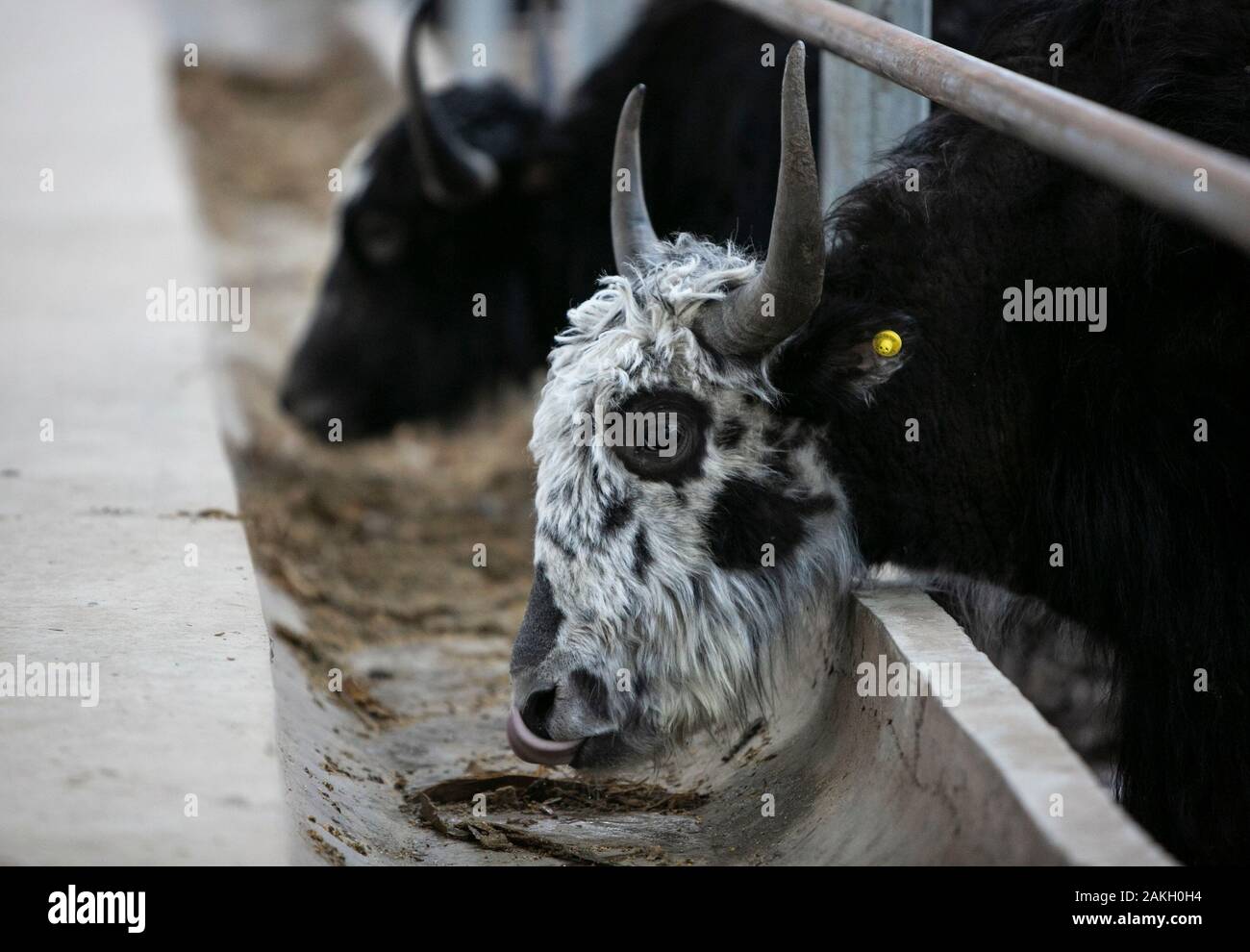 Standardized methods hi-res stock photography and images - Alamy