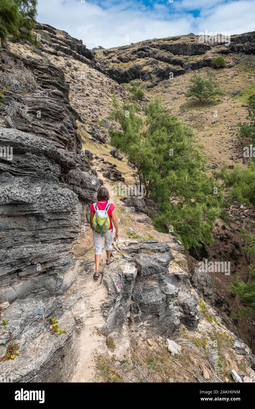 Pointe coton hi-res stock photography and images - Alamy