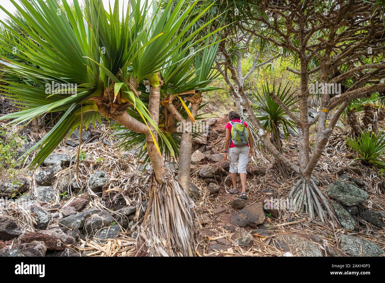 Pointe Coton High Resolution Stock Photography and Images - Alamy