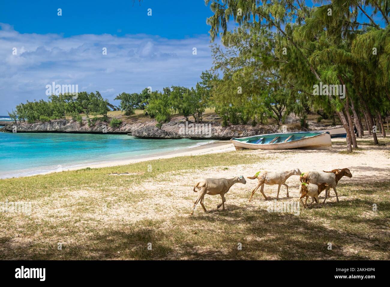 Mauritius, Rodrigues island, Pointe Coton beach Stock Photo - Alamy