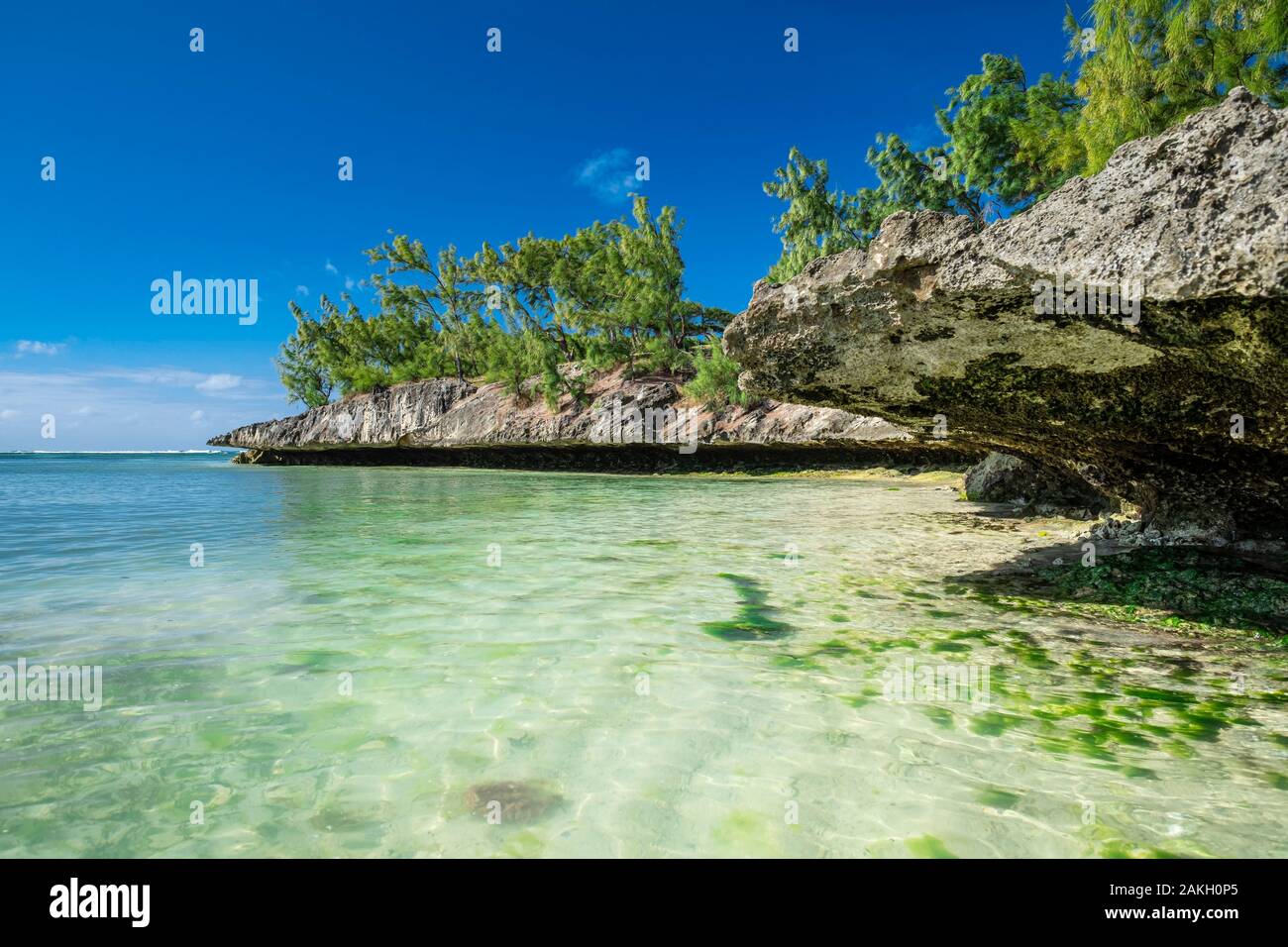 Pointe coton hi-res stock photography and images - Alamy