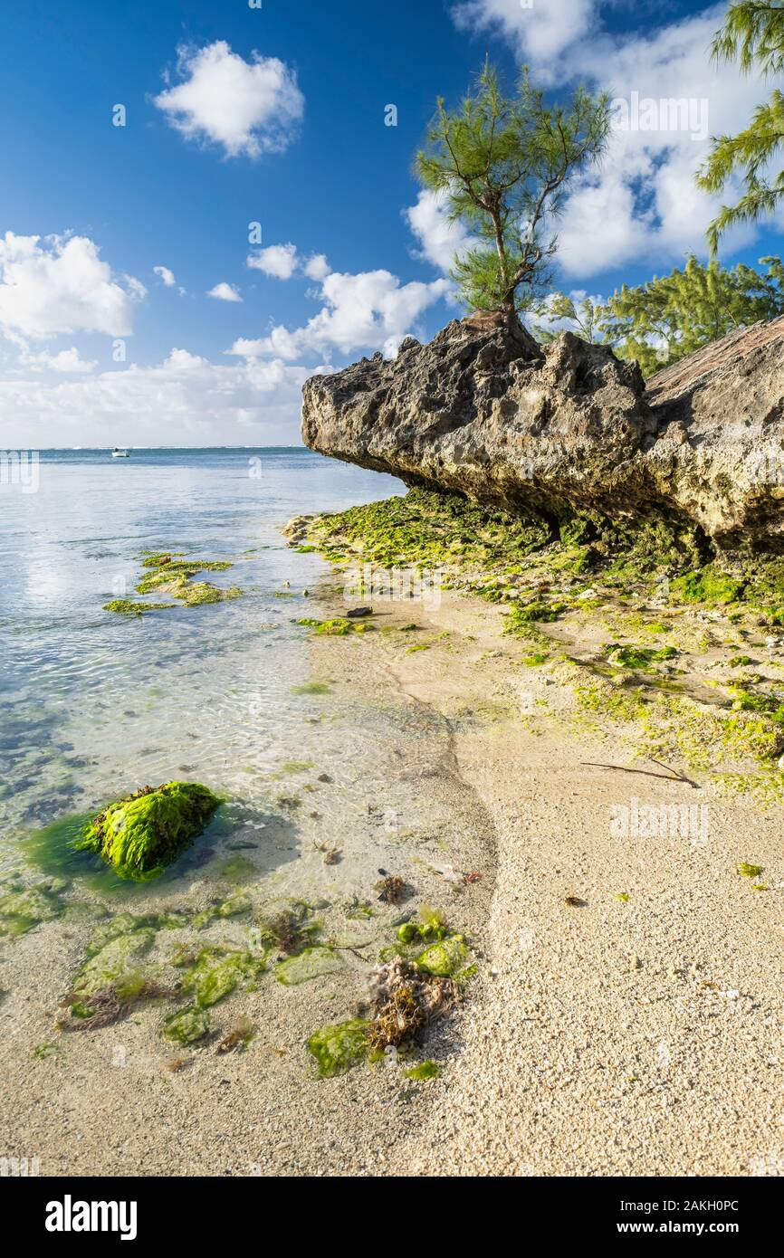 Mauritius, Rodrigues island, Pointe Coton beach Stock Photo - Alamy