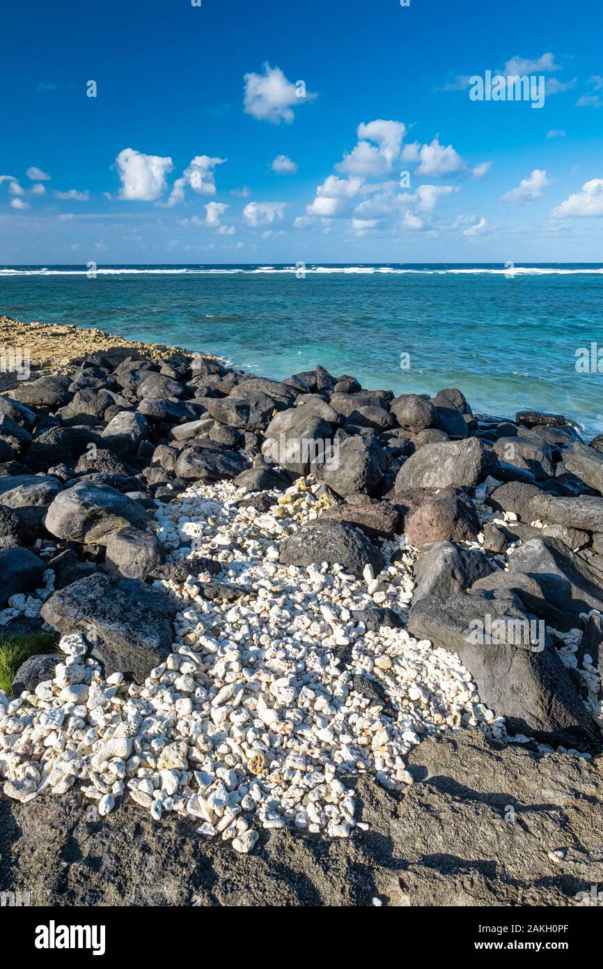Pointe coton hi-res stock photography and images - Alamy