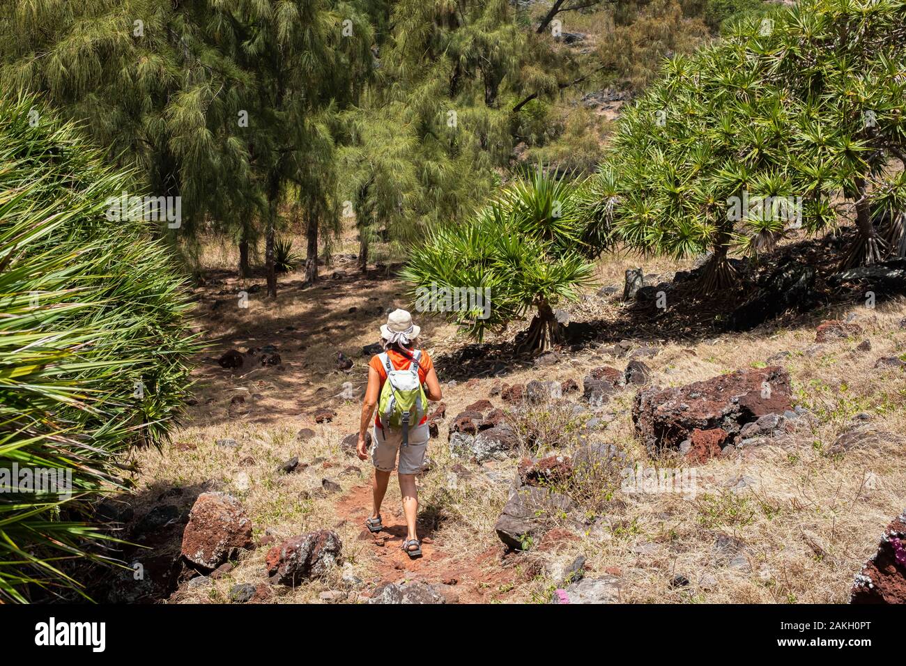 Pointe coton hi-res stock photography and images - Alamy