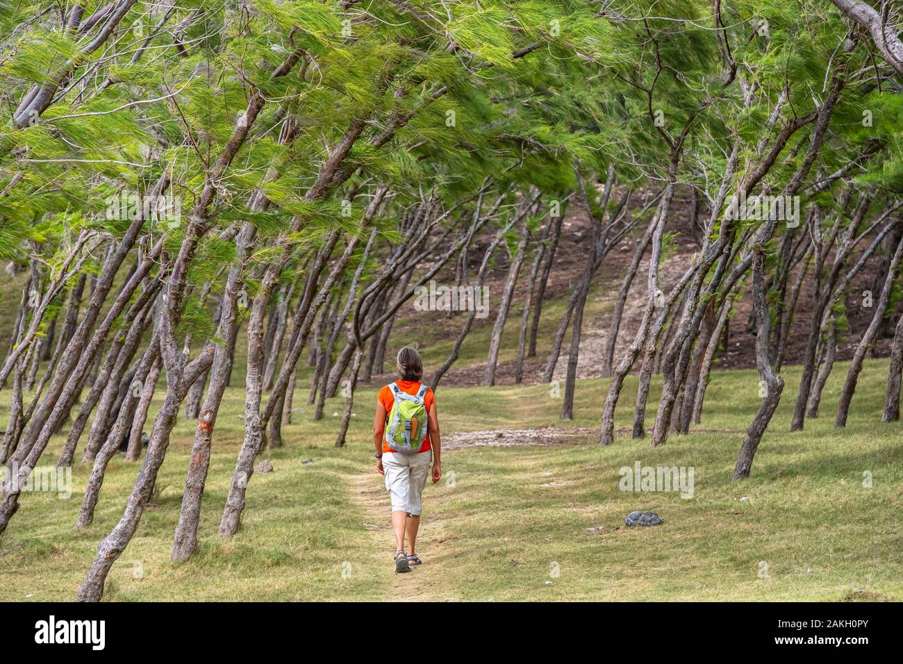 Pointe Coton High Resolution Stock Photography and Images - Alamy