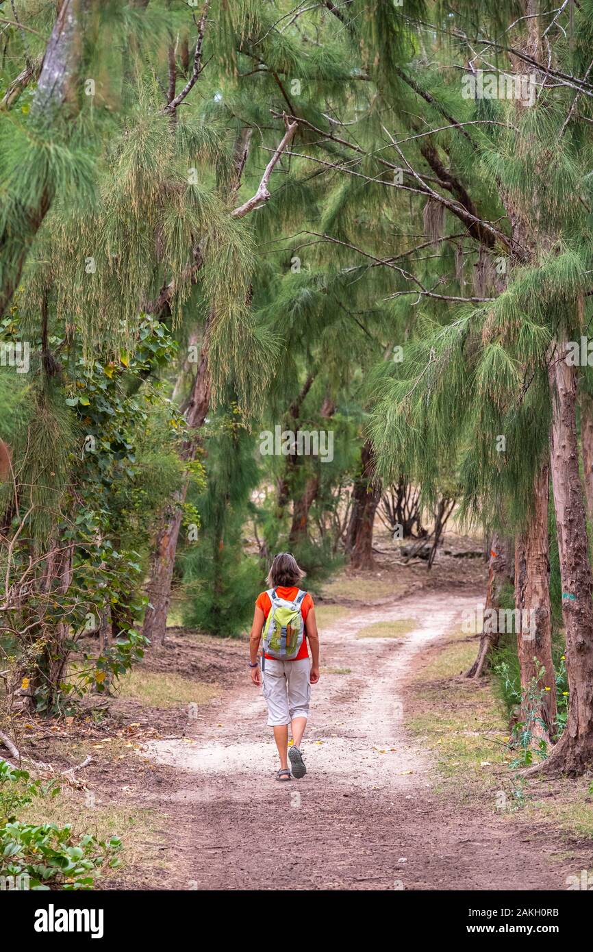 Mauritius, Rodrigues island, hike from Pointe Coton to Mourouk through ...
