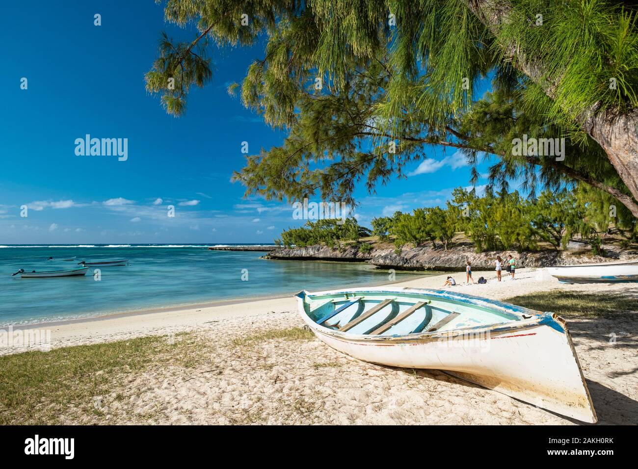 Pointe coton hi-res stock photography and images - Alamy