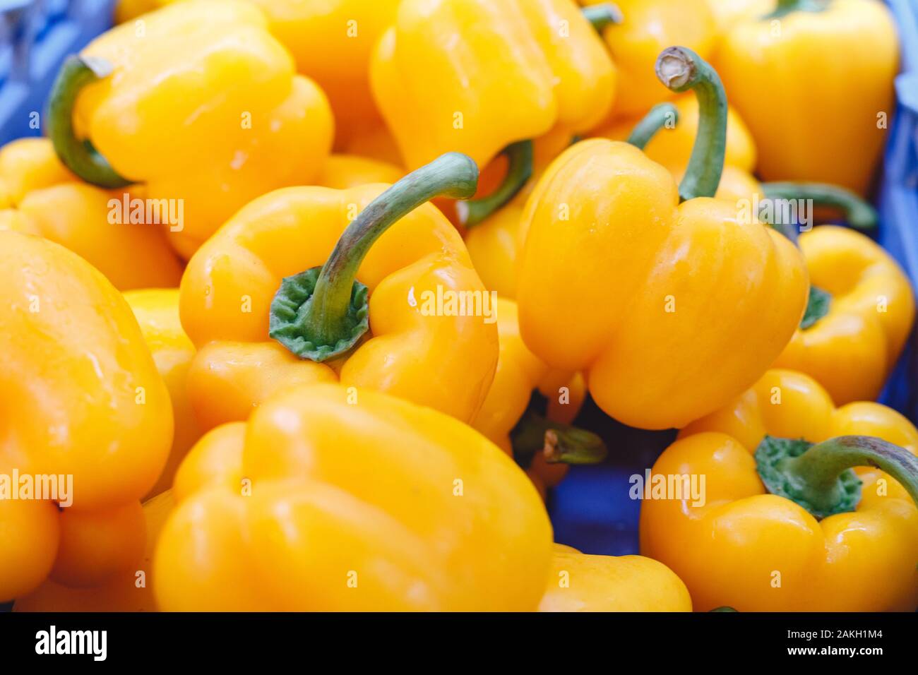 Fresh raw organic yellow pepper vegetables for sale at farmers market ...