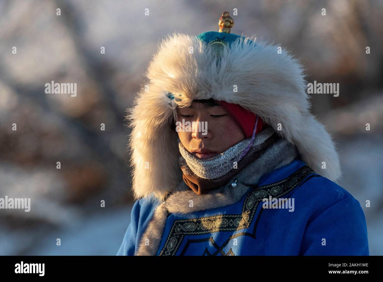 China, Inner Mongolia, Hebei Province, Zhangjiakou, Bashang Grassland ...