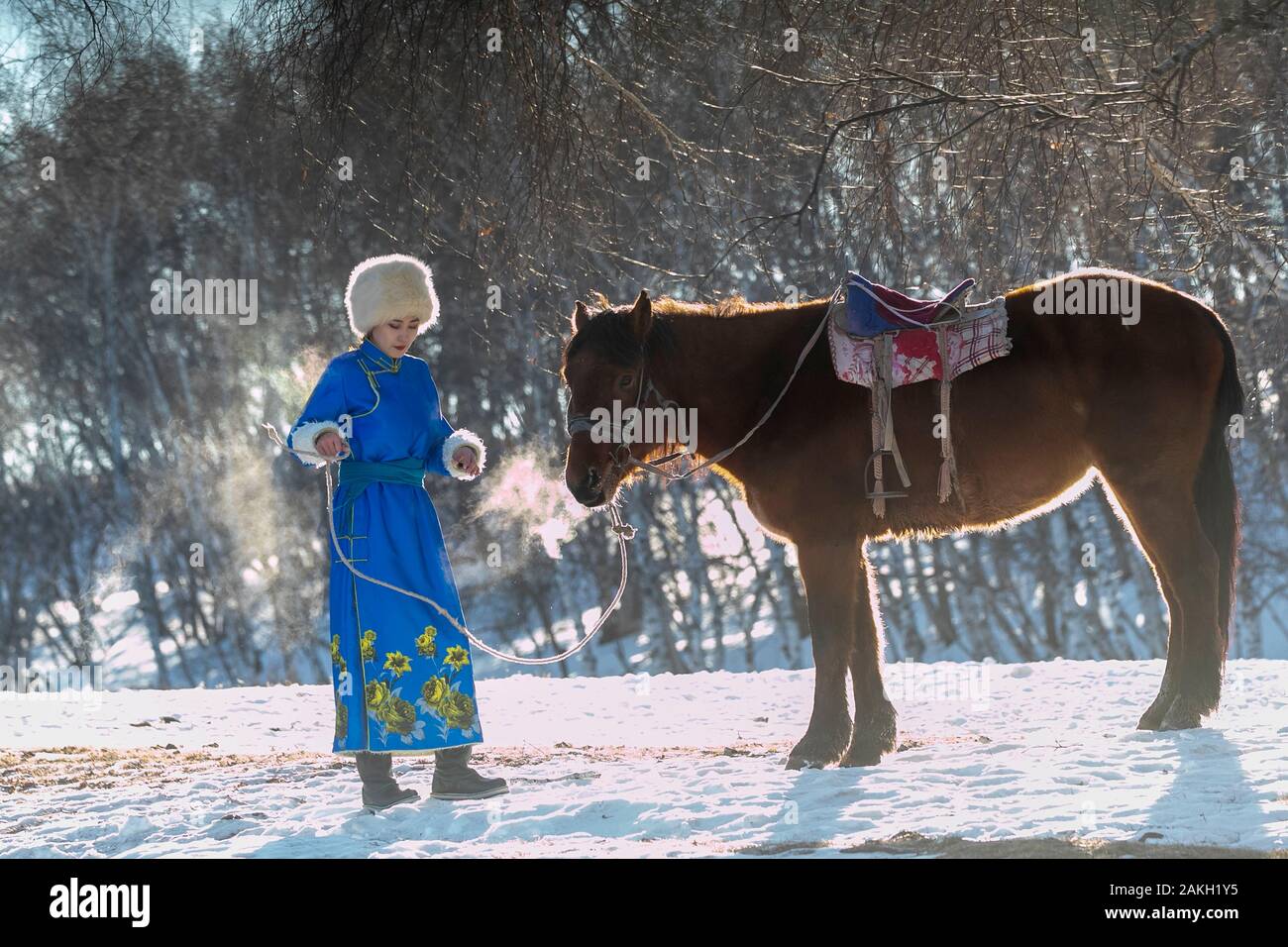 China, Inner Mongolia, Hebei Province, Zhangjiakou, Bashang Grassland ...