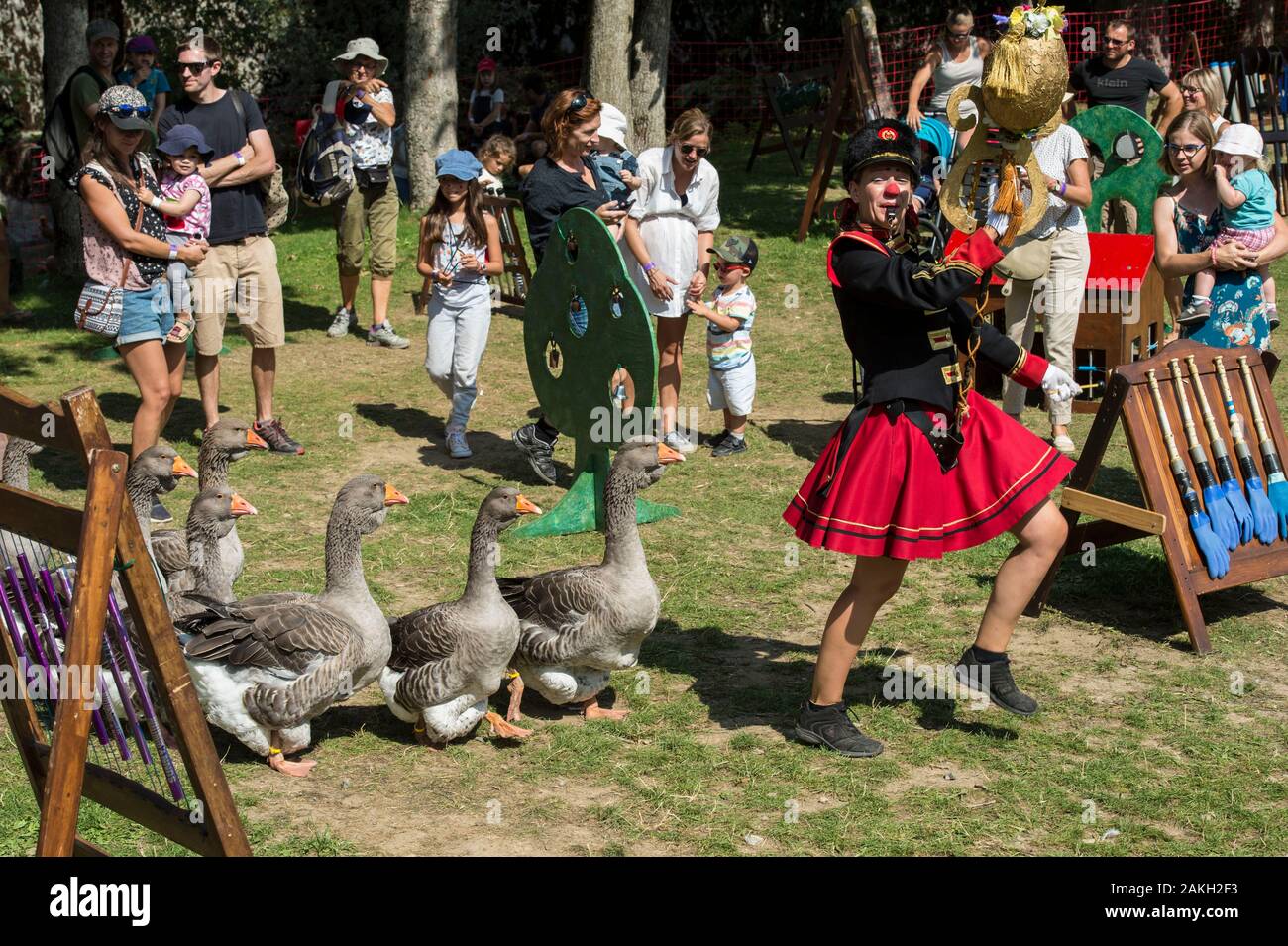 Military geese hi-res stock photography and images - Alamy