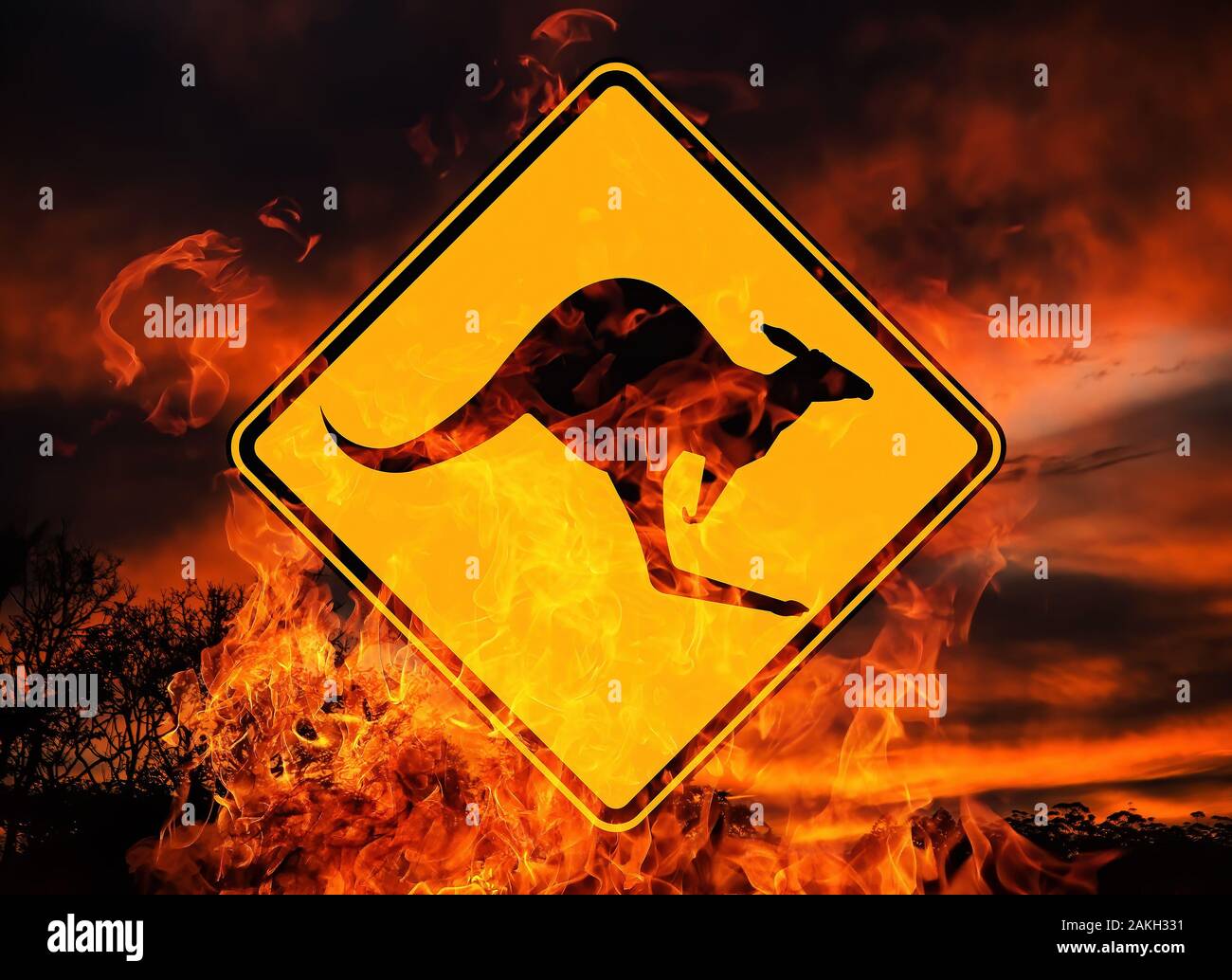 Australian animals in bushfire hi-res stock photography and images - Alamy
