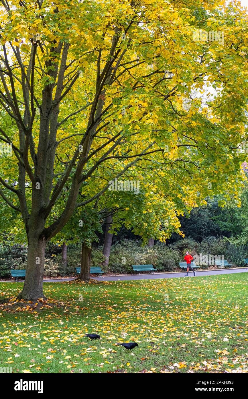 Parc de montsouris, paris hi-res stock photography and images - Alamy