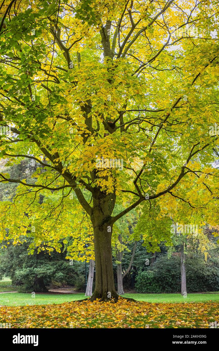 Parc de montsouris, paris hi-res stock photography and images - Alamy
