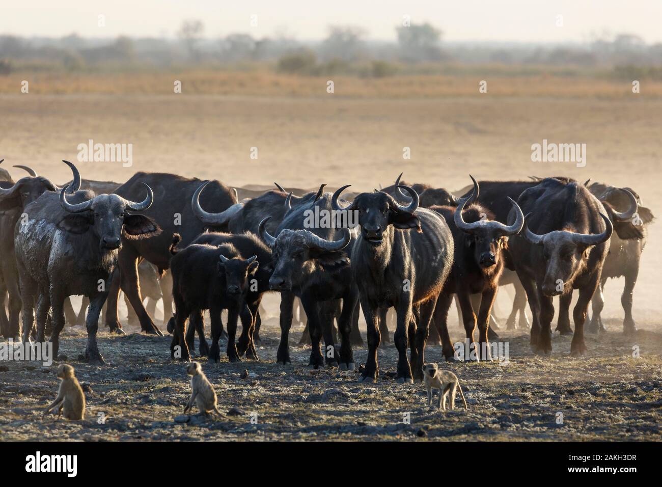 Kavango people hi-res stock photography and images - Alamy
