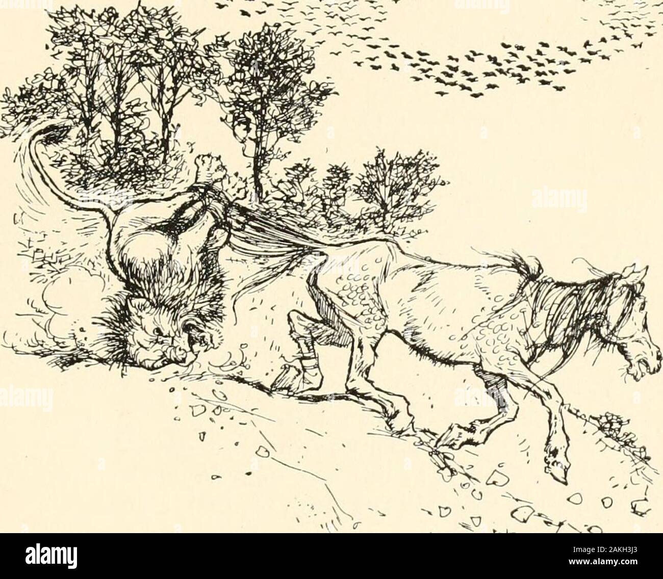 The Brothers Grimm Horse