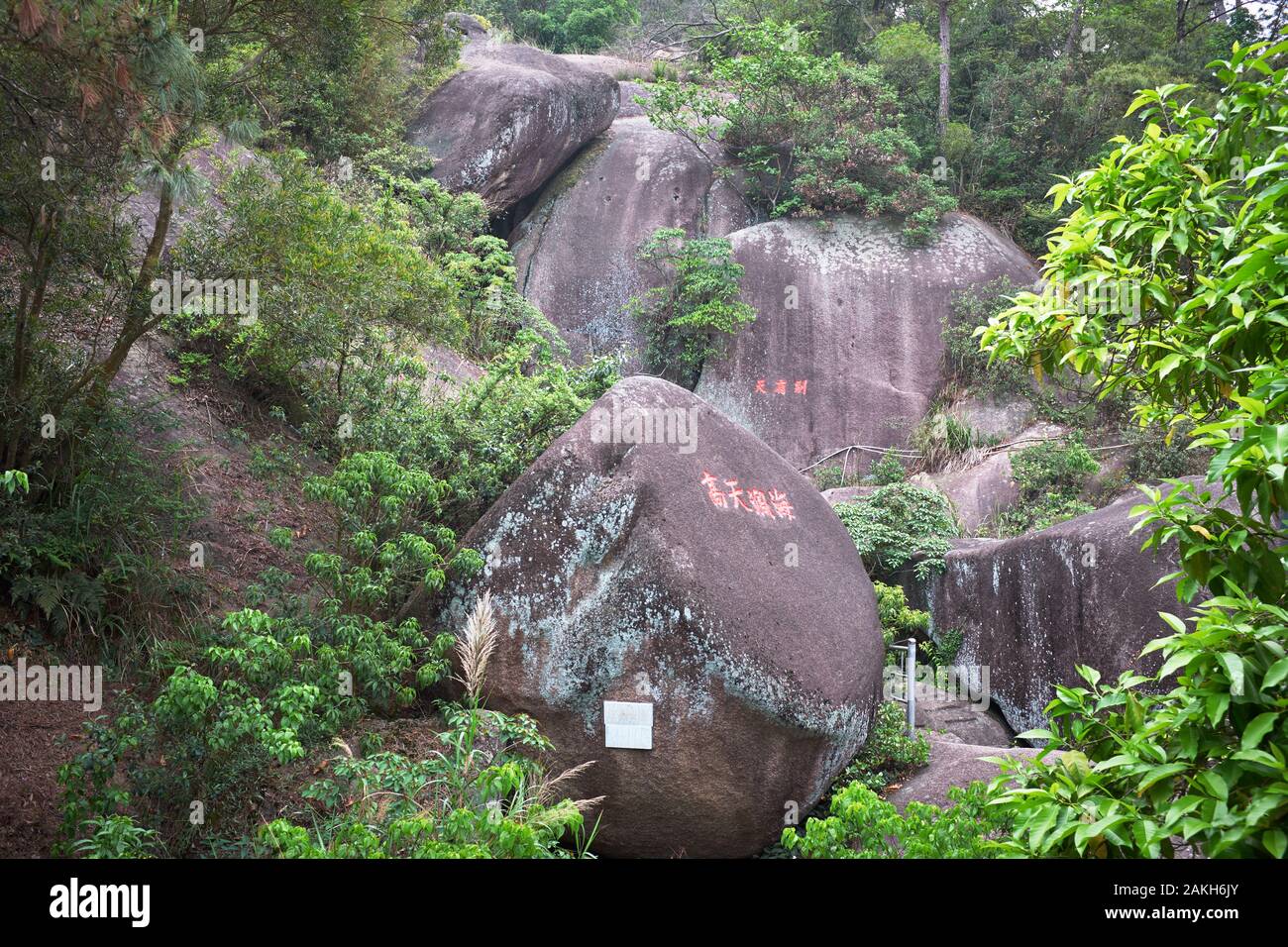 Fuzhou forest park hi-res stock photography and images - Alamy