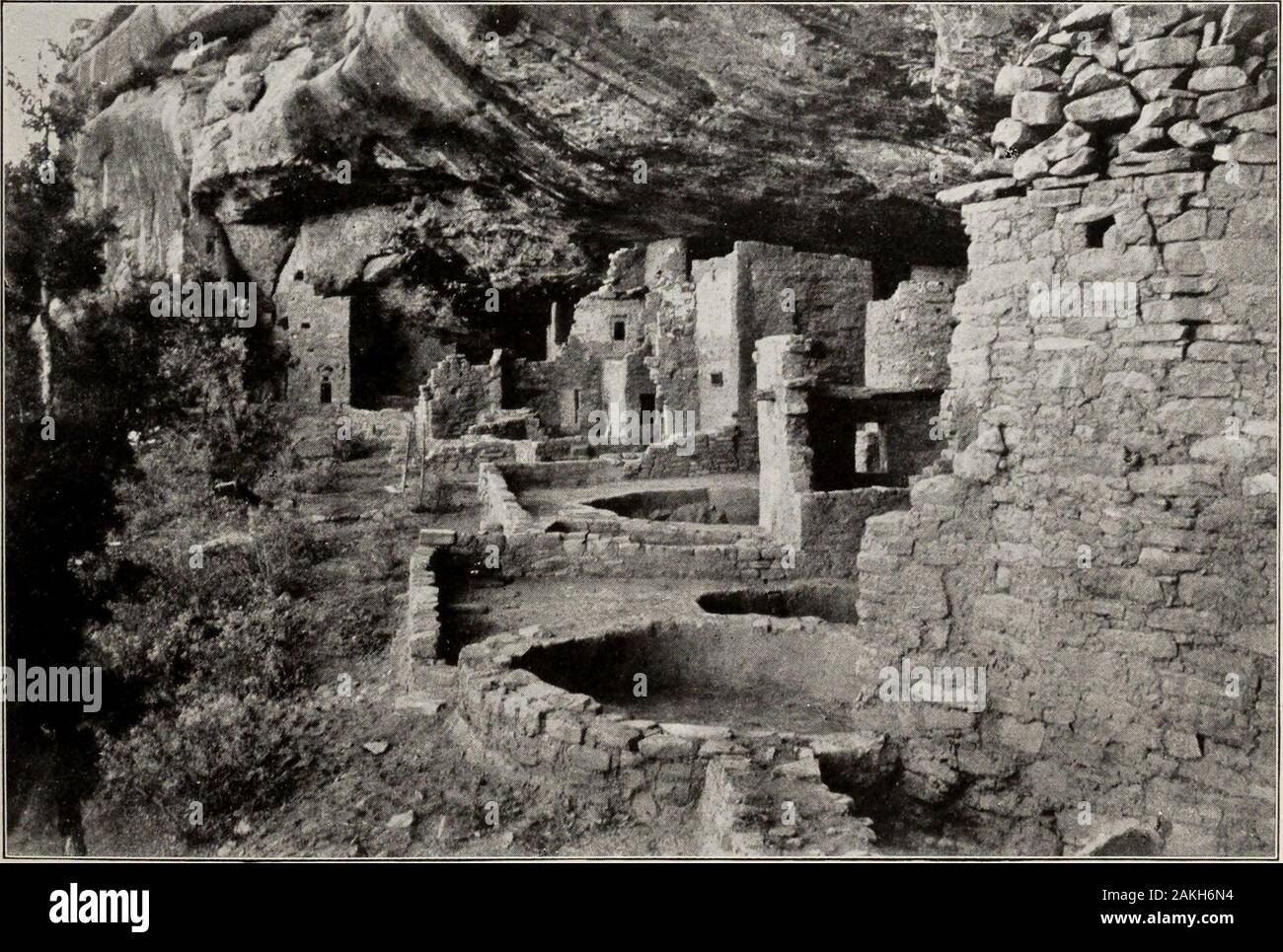The national parks portfolio . Entrance to Lower Floors, Spruce Tree ...