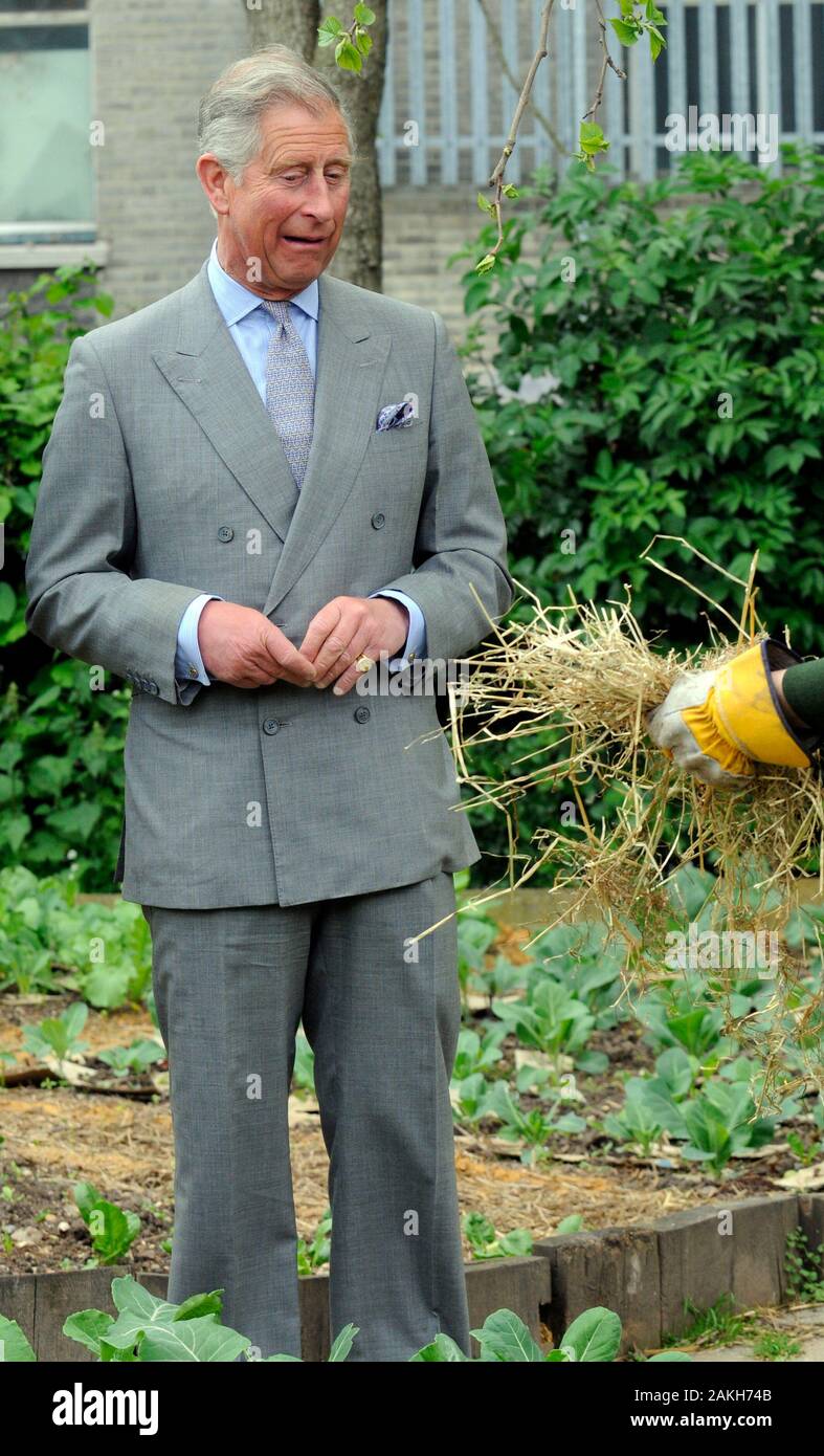 Royal prince of wales agriculture prince of wales prince charles hi-res ...