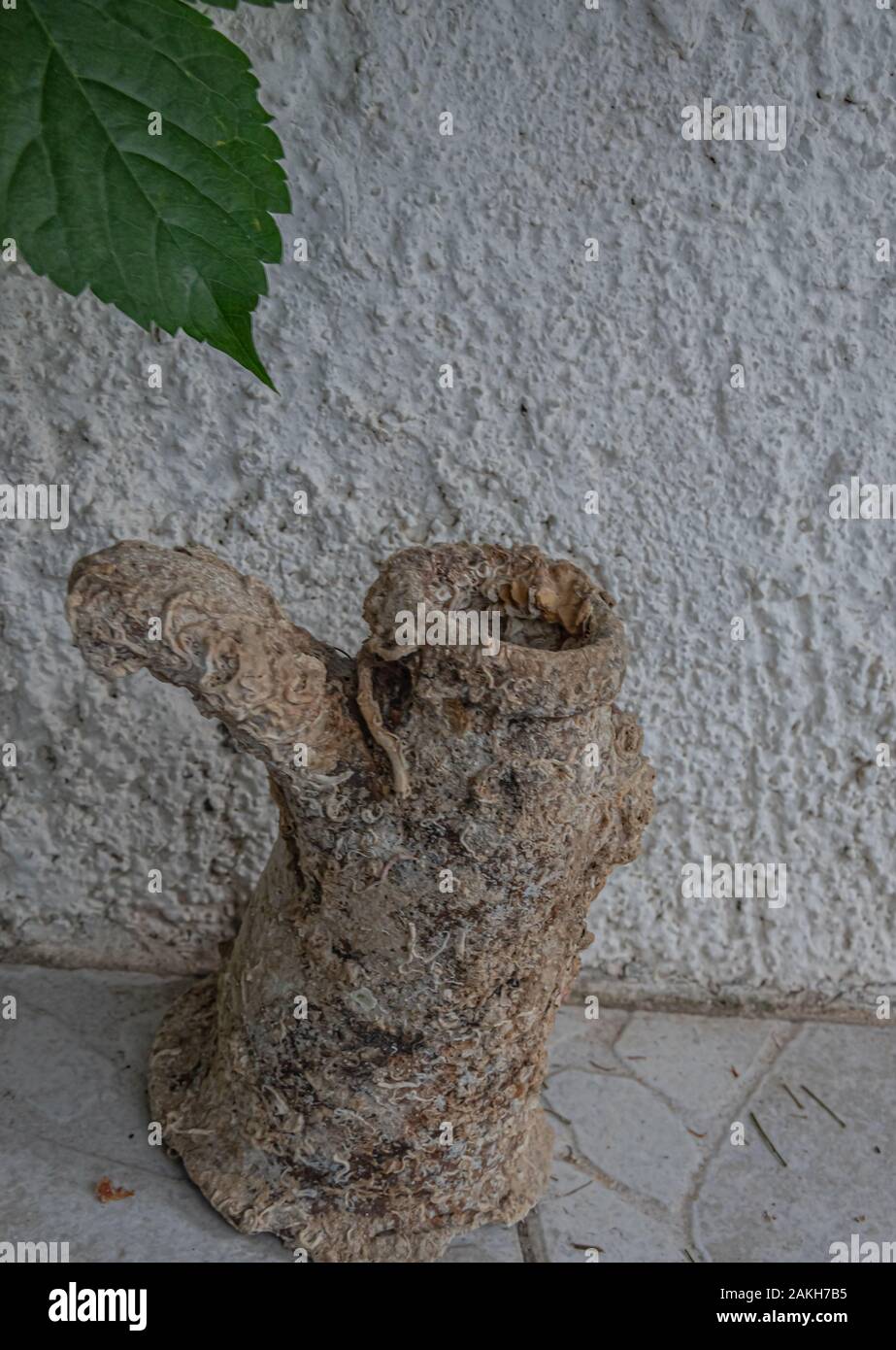 Amphora antique hi-res stock photography and images - Alamy