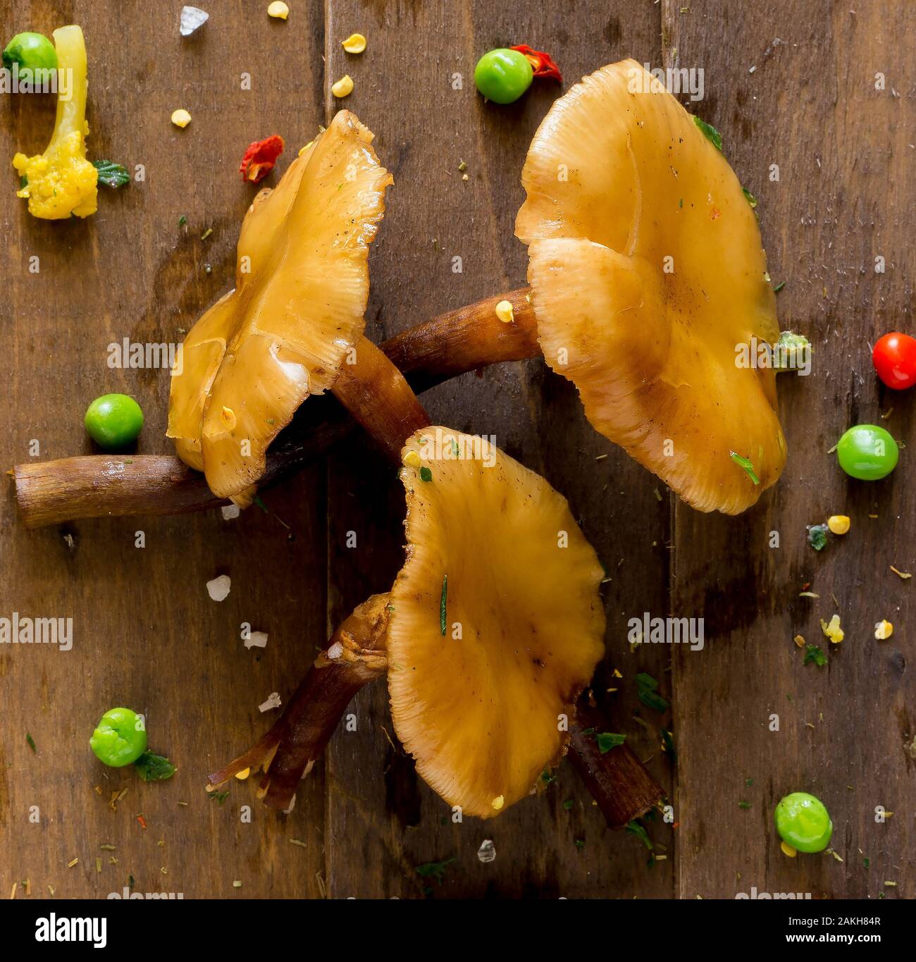 mushroom colony Armillaria mellea mushrooms on wwoden Stock Photo - Alamy