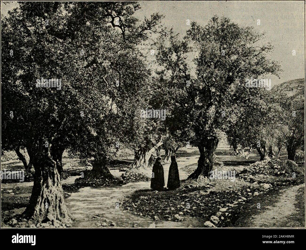 Concubines of david hi-res stock photography and images - Alamy