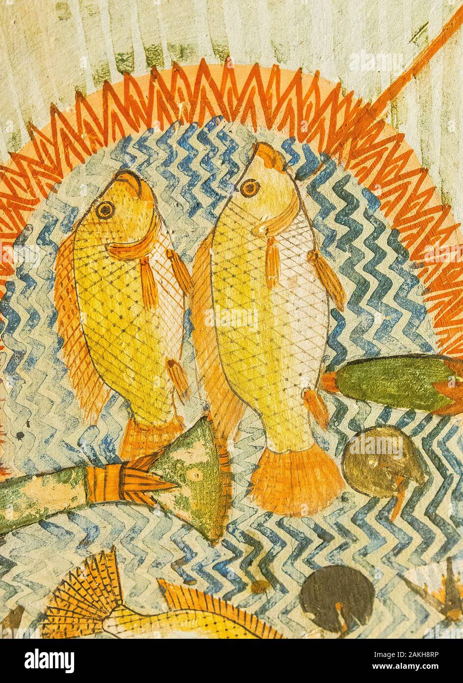 Fish in the nile hi-res stock photography and images - Alamy