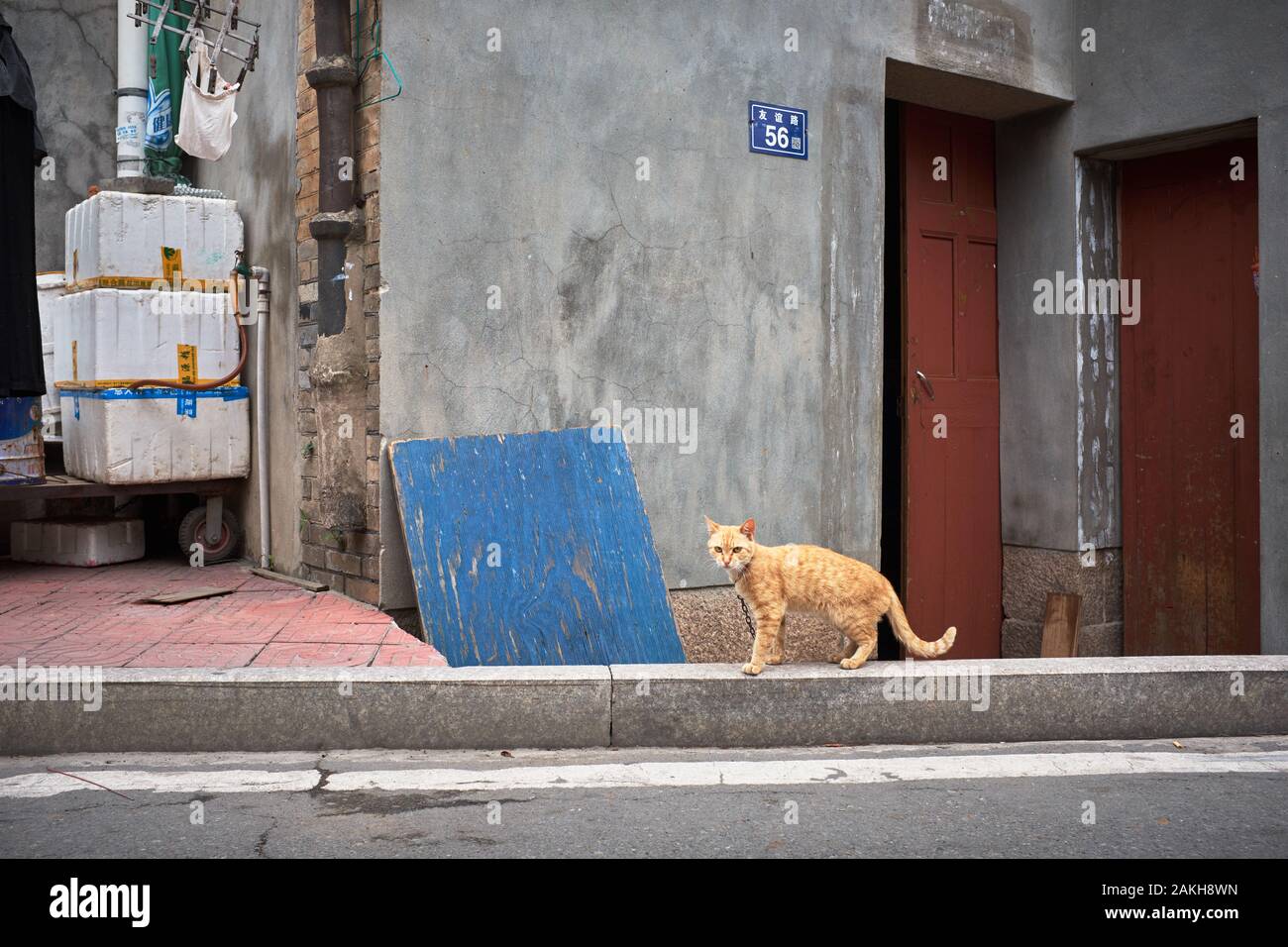 Modest domestic hi-res stock photography and images - Alamy