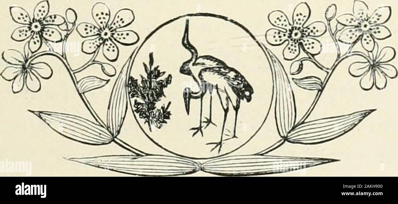 Boy having a wee hi-res stock photography and images - Alamy