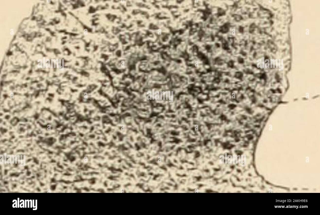 Pyramid of the moon remains hi-res stock photography and images - Alamy