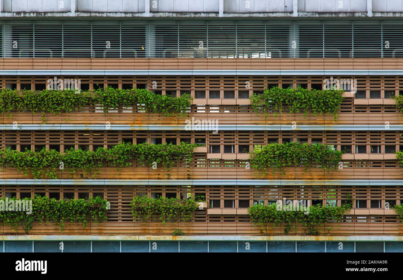 Building Facade Wood