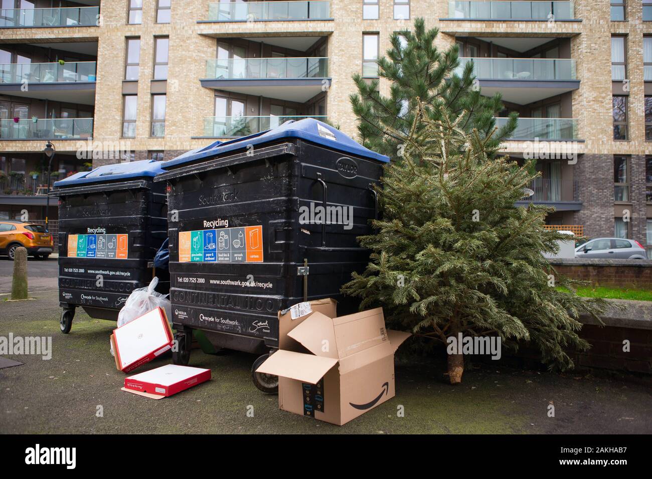 An unwanted Christmas tree is left by the bins in South East London ...