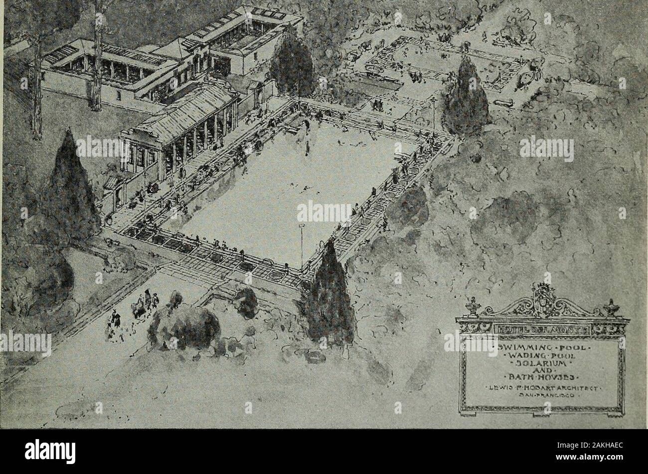 Dissimulated hi-res stock photography and images - Alamy