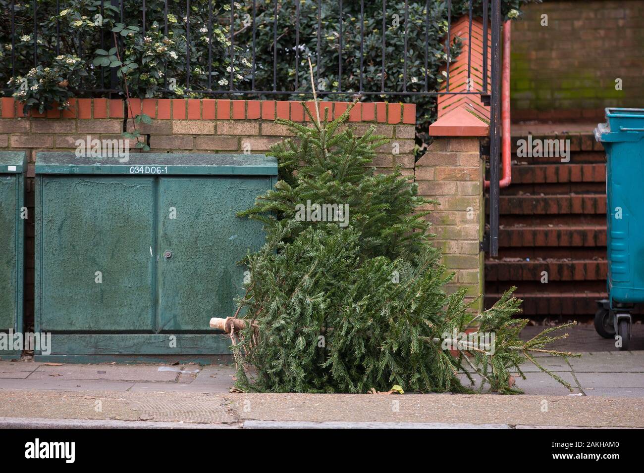 A pile of dead Christmas trees is left on the pavement in South East ...