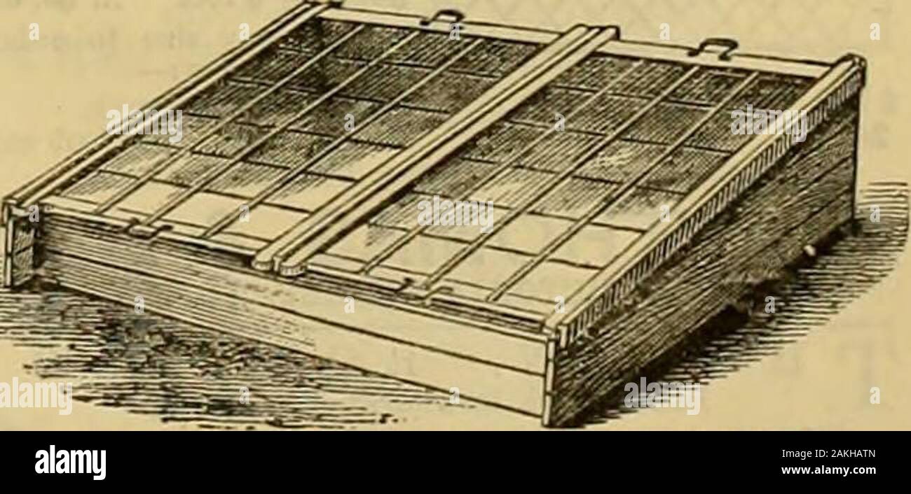 Tobacco netting hi-res stock photography and images - Alamy