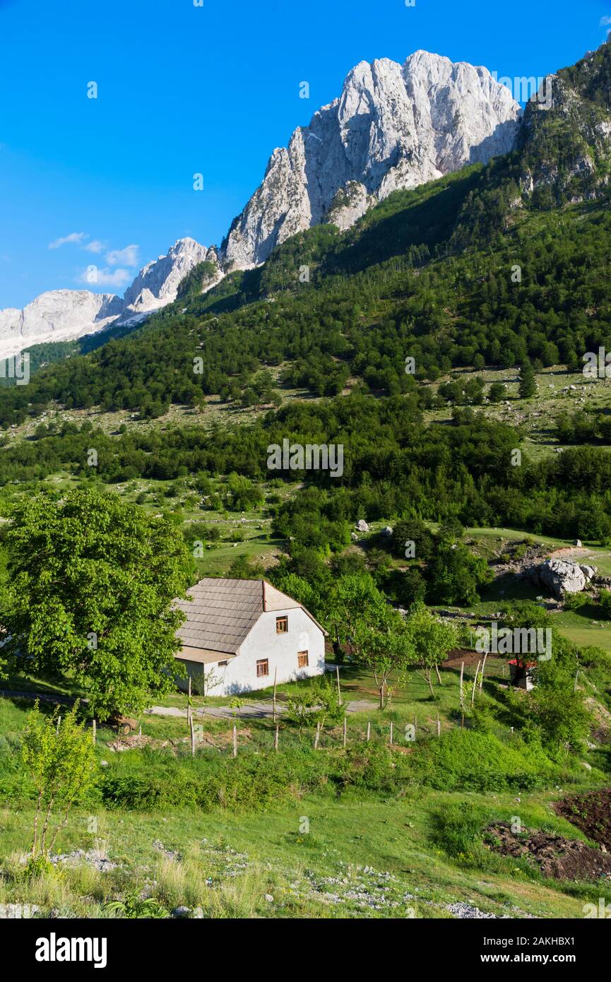 Montenegrin scene hi-res stock photography and images - Alamy