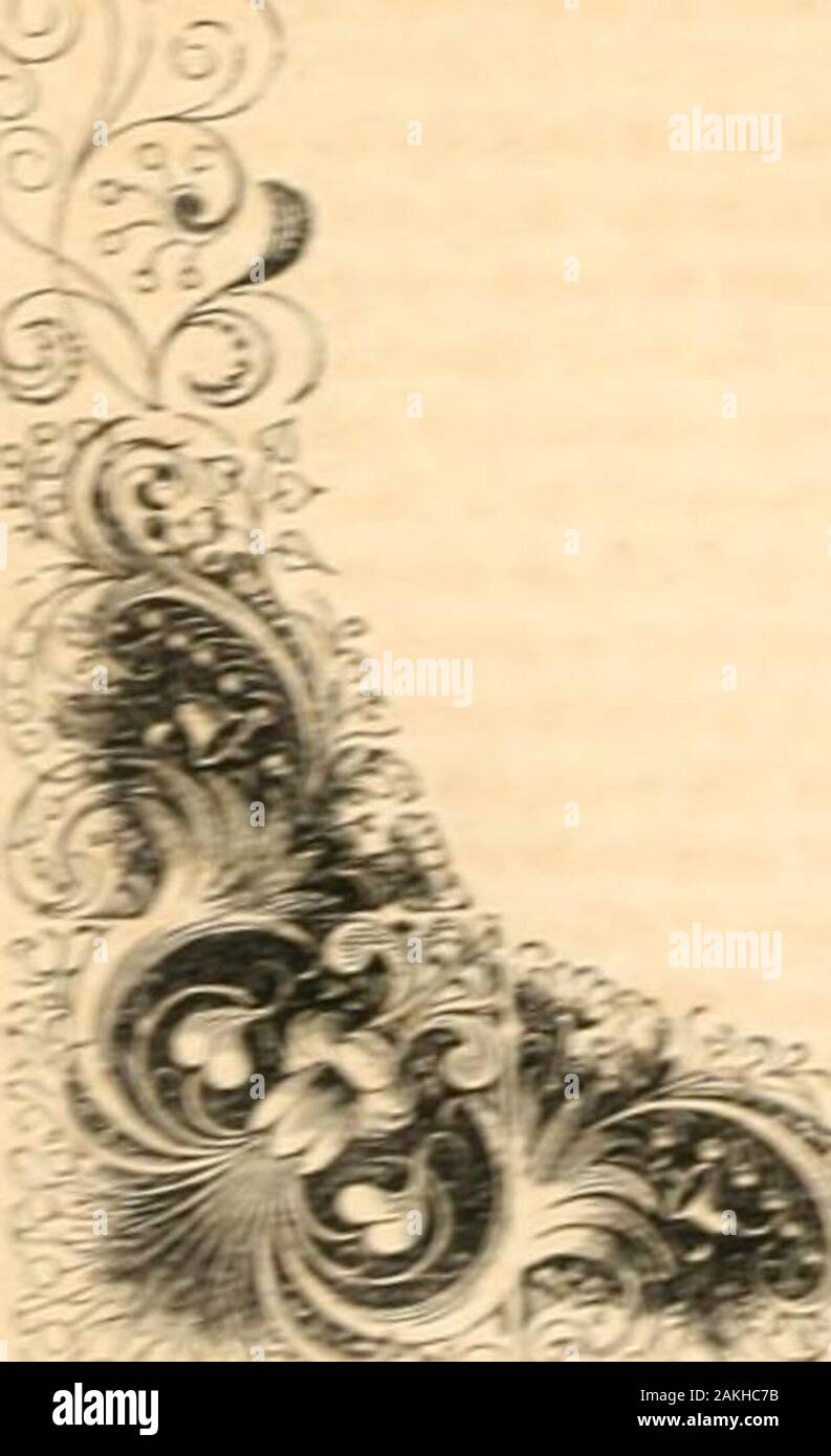 The progress of the United States of America, from the earliest periods ...