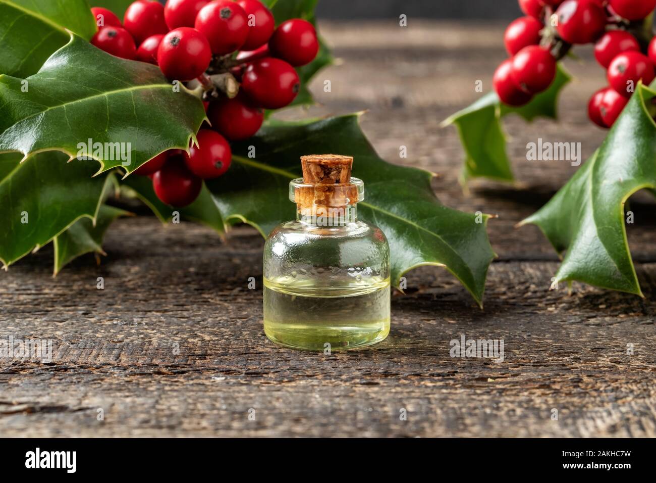 Holly Twigs High Resolution Stock Photography and Images - Alamy