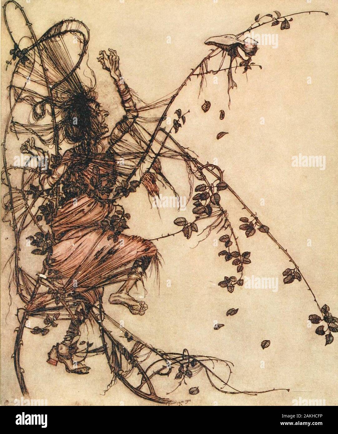 Witch maiden hi-res stock photography and images - Alamy