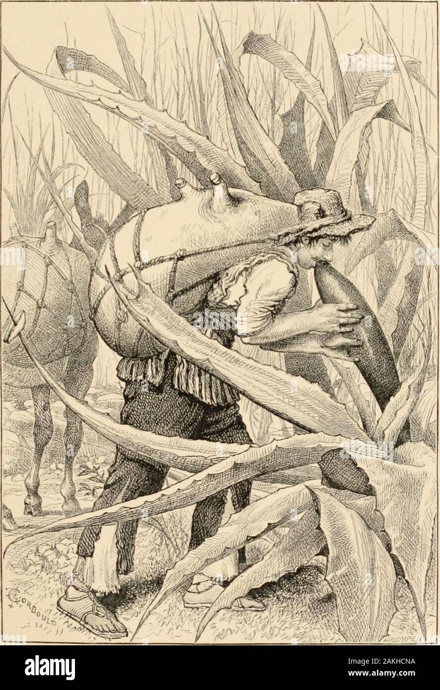 Prehistoric mexico man hi-res stock photography and images - Alamy