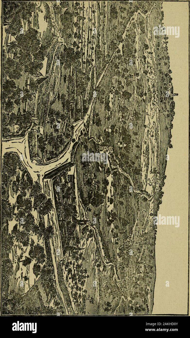 Simon the leper hi-res stock photography and images - Alamy