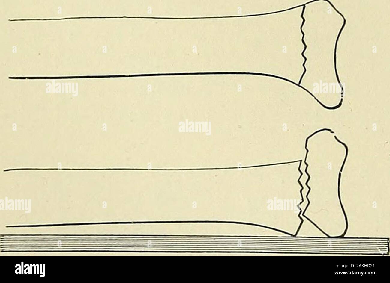 Palmar surface hi-res stock photography and images - Alamy